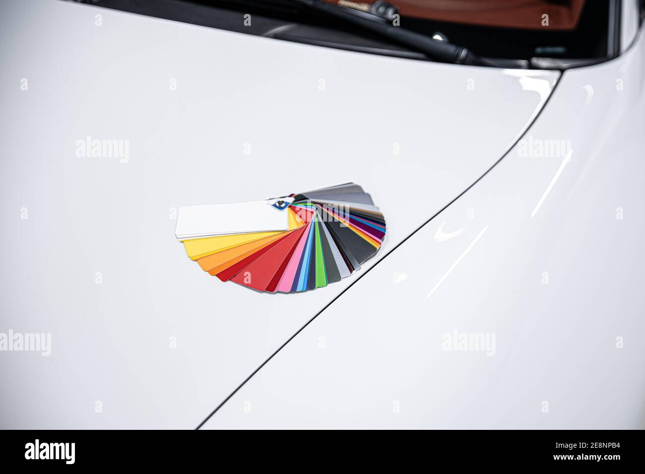 Man choosing color of his car with color sampler Stock Photo - Alamy