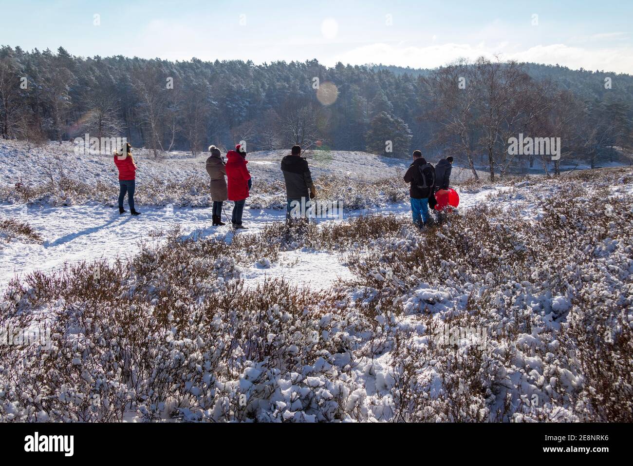 Winter germany heath hi-res stock photography and images - Alamy
