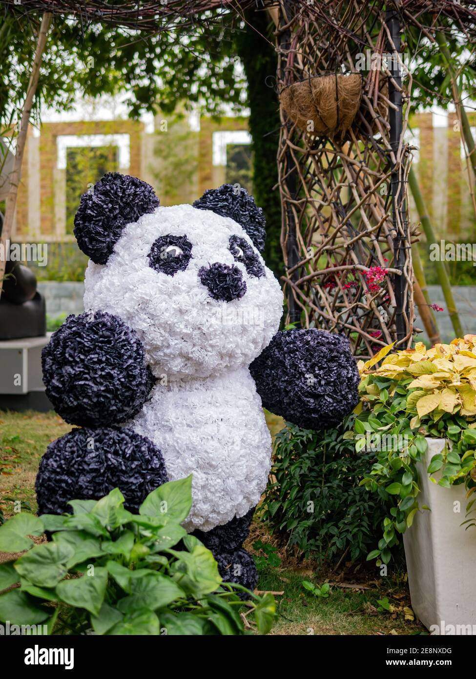 Panda flower hi-res stock photography and images - Alamy
