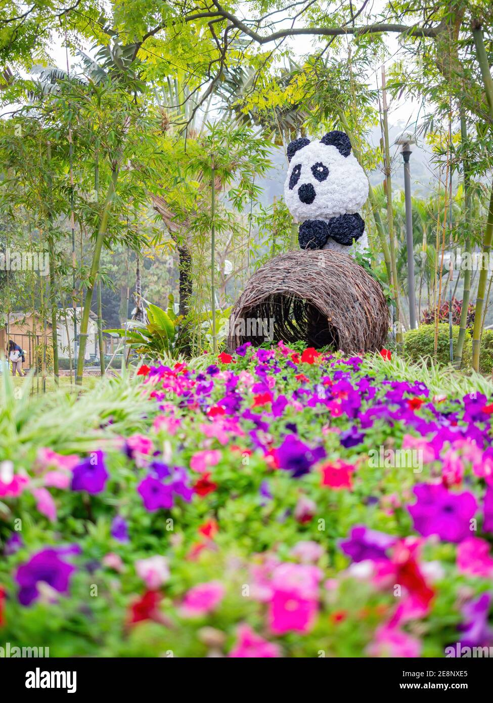 Panda flower hi-res stock photography and images - Alamy