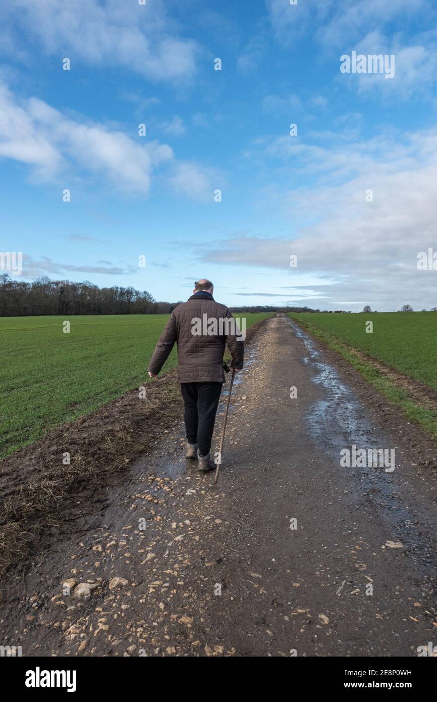 Man walking a dog back view hi-res stock photography and images - Alamy