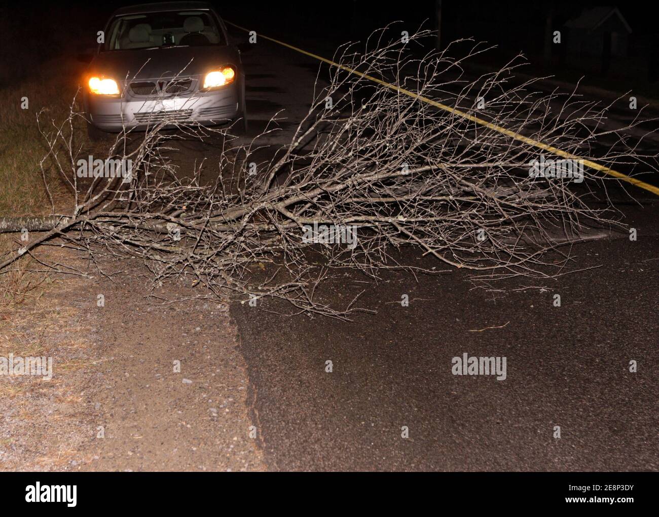 A small overturned tree blocking a road at night in Quebec,Canada Stock ...