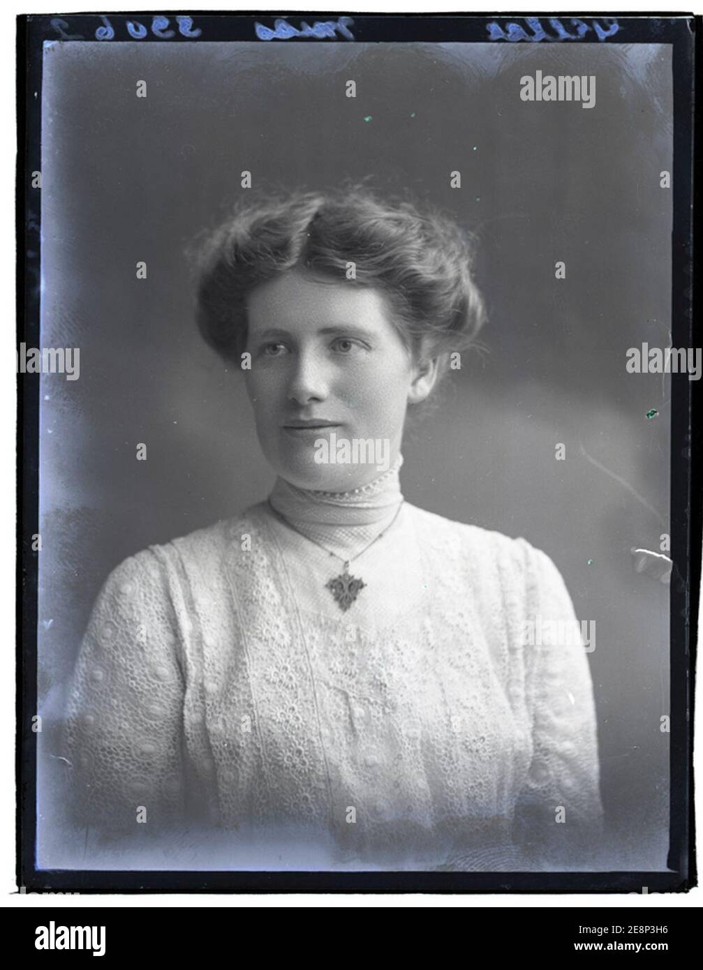 Giller hi-res stock photography and images - Alamy