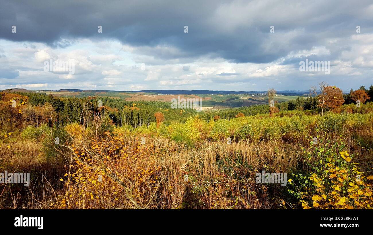 A breathtaking view of a colorful field captured during autumn on a ...