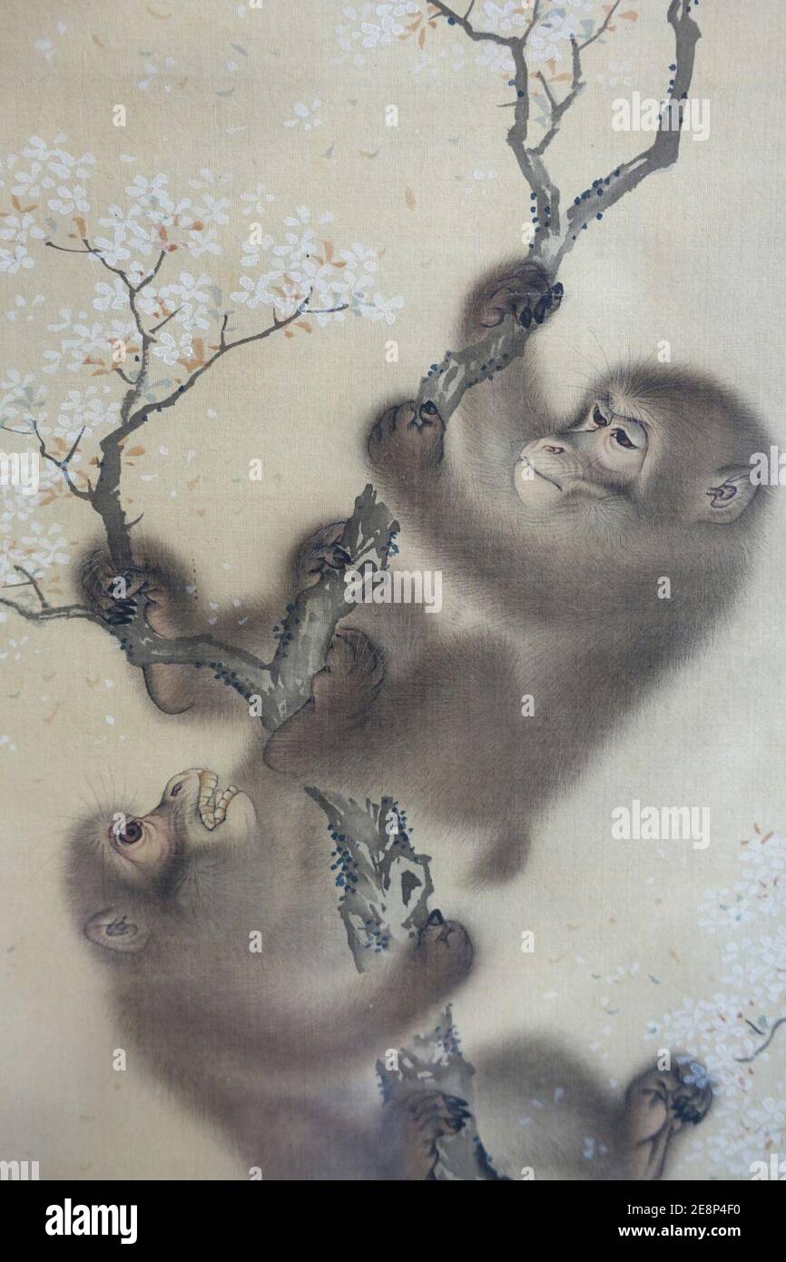 Monkeys in a Blossoming Cherry Tree, 1 of 2, Mori Sosen, Japan, Edo ...