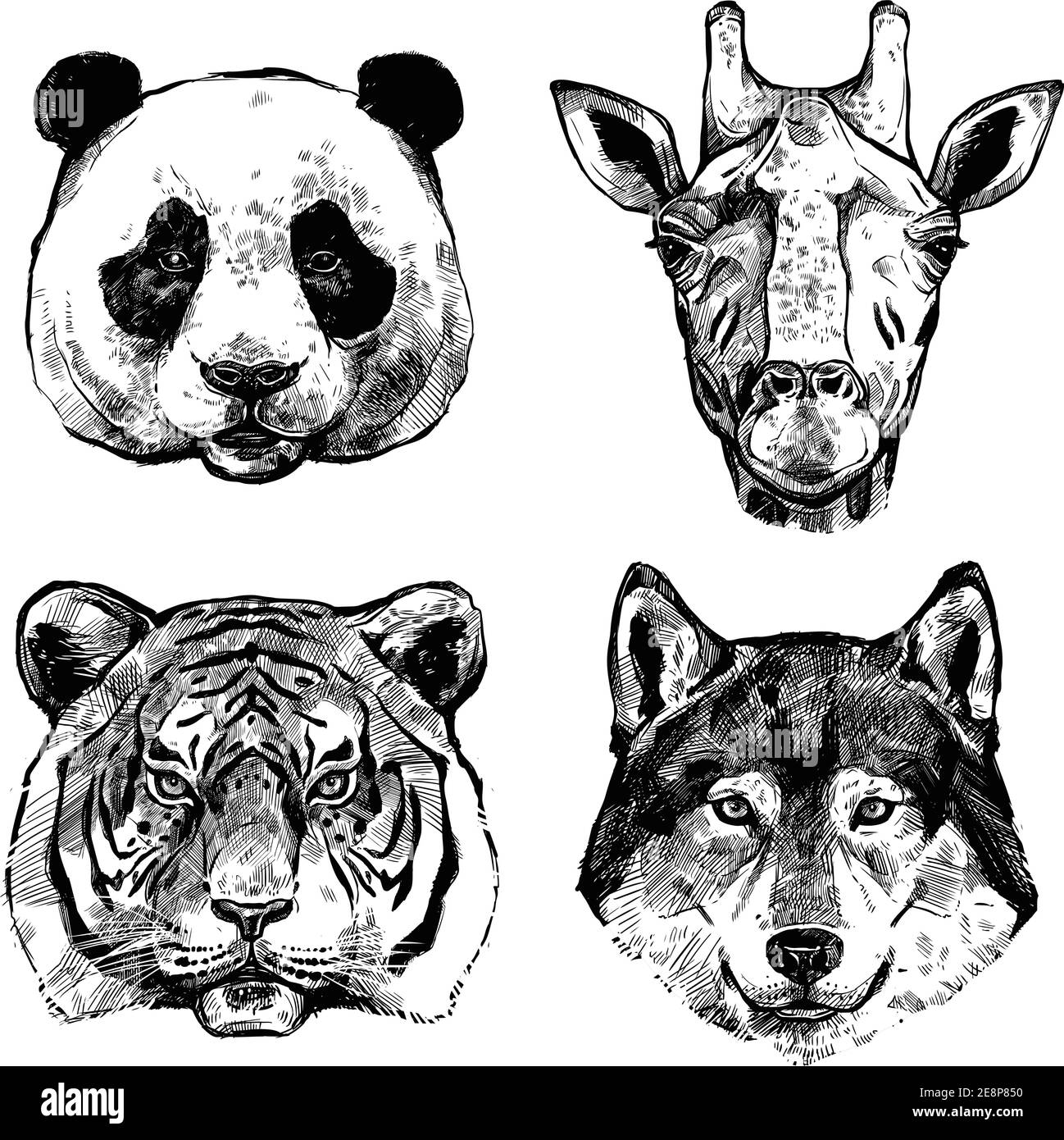 White White Wolf And Tiger