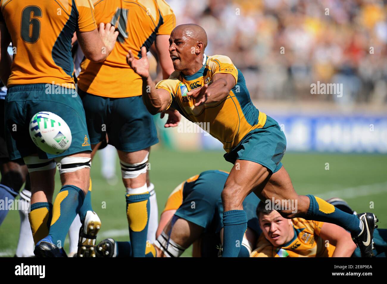 George gregan rugby world cup hi-res stock photography and images - Alamy
