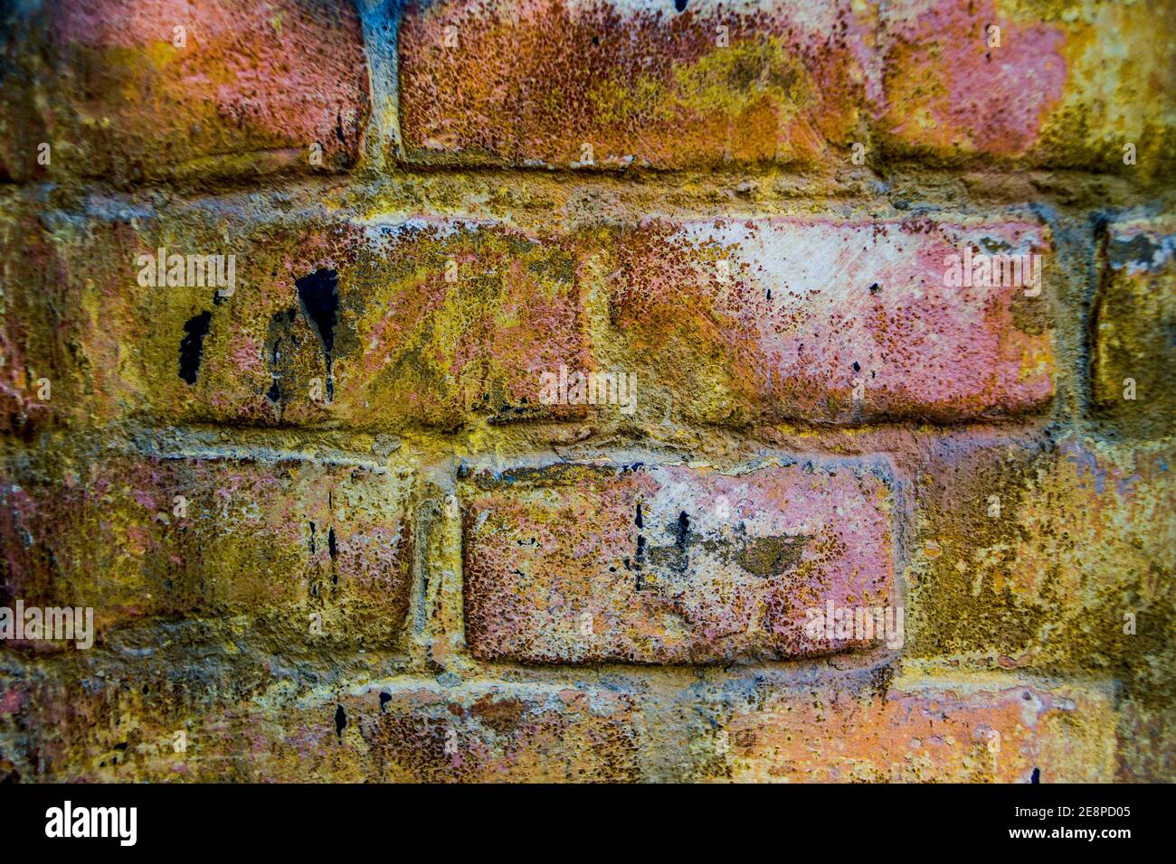 Texture, brick, wall, it can be used as a background. Brick texture ...