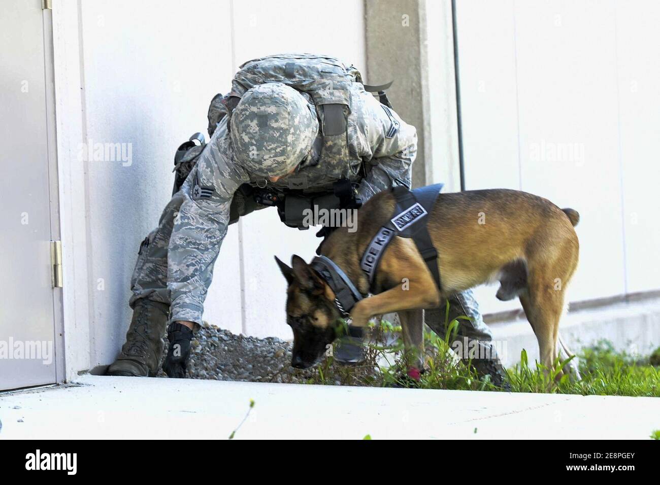 Military working dog team during August 2 2017 training exercise Stock ...