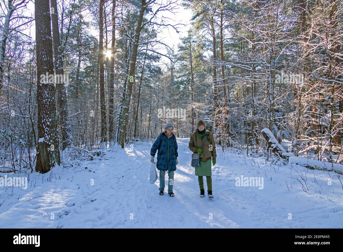 winterly hike path at Neugraben Heath, Harburg, Hamburg, Germany Stock Photo - Alamy