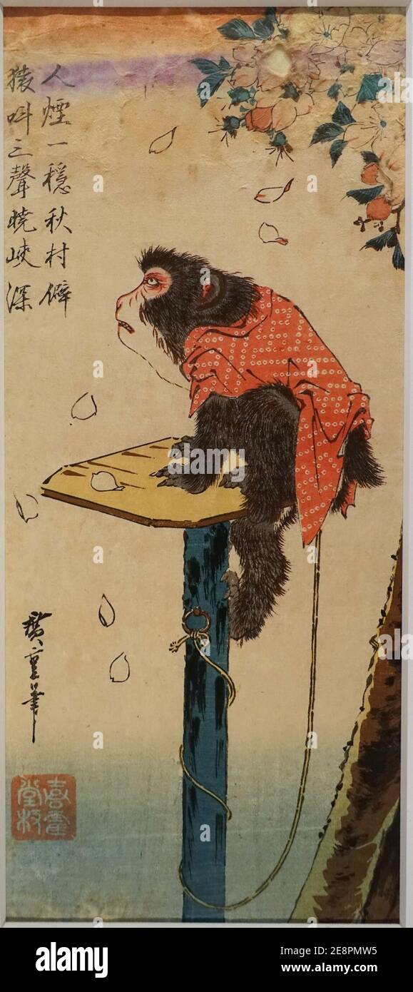 Monkey and cherry blossoms, by Utagawa Hiroshige, Edo period, 1800s AD ...