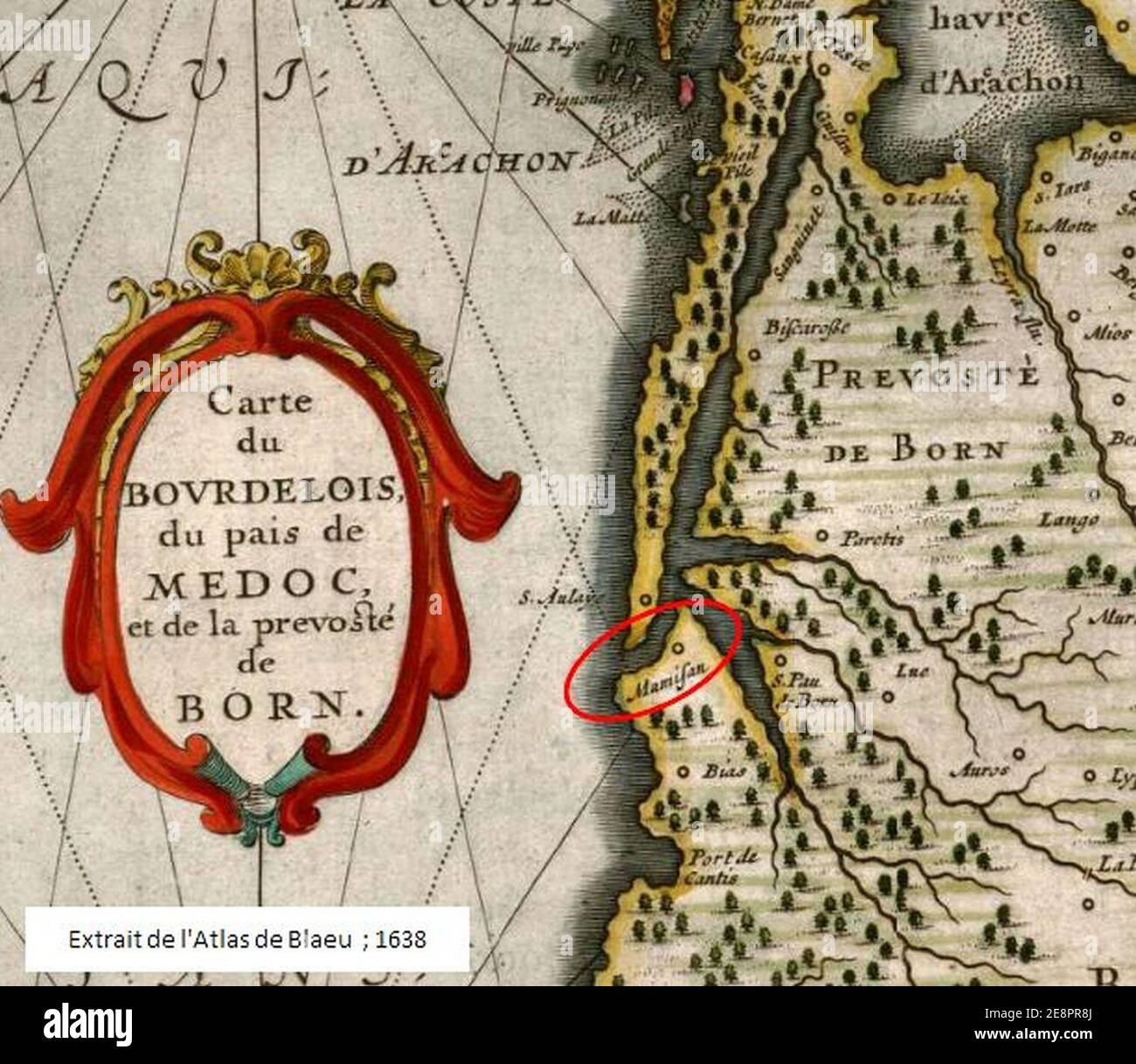 Mimizan Blaeu def Stock Photo - Alamy