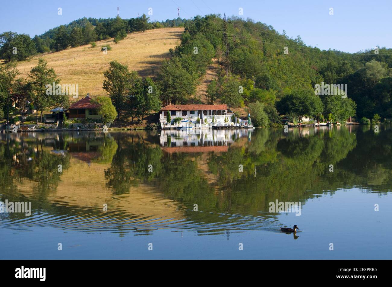 Serbian home plants hi-res stock photography and images - Alamy