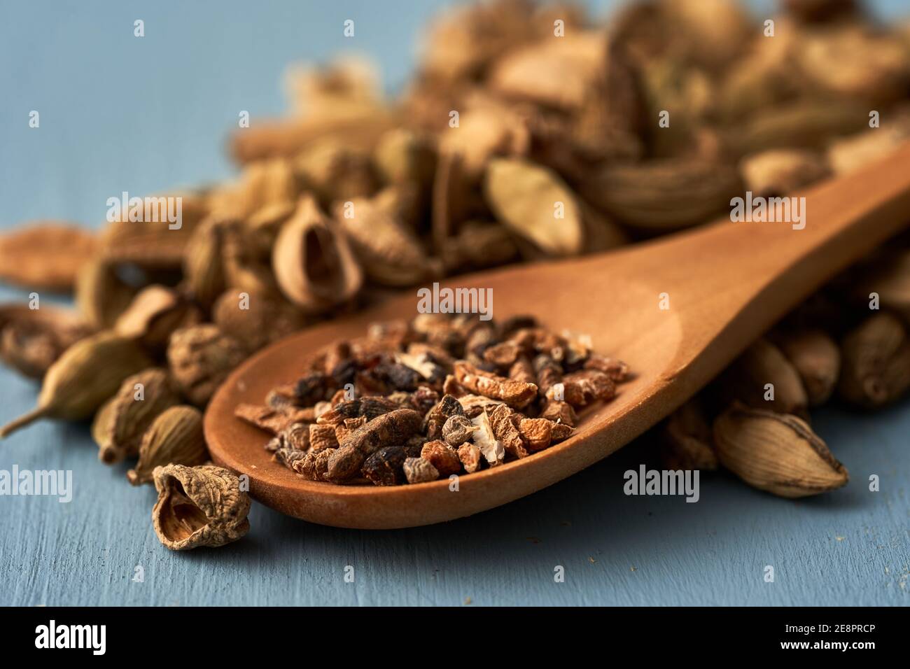Cardamom Plant High Resolution Stock Photography and Images - Alamy
