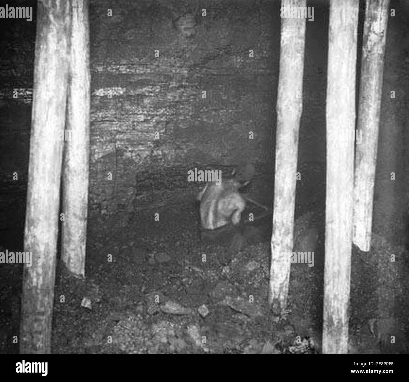 Miner treballant a les mines de Puertollano (Extracted - Restored Stock ...