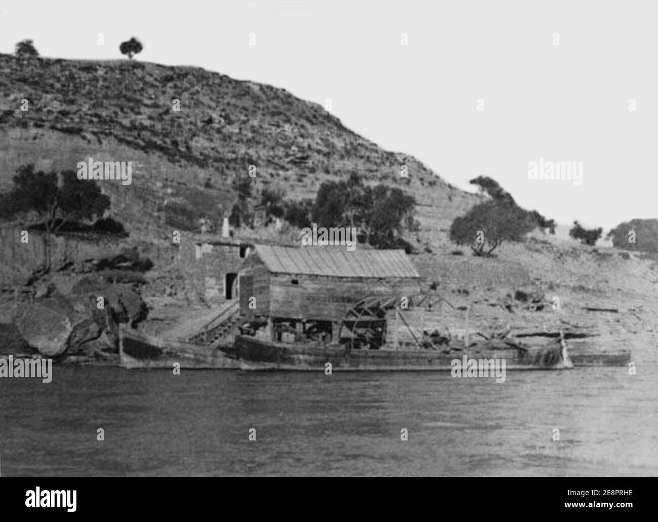 Riba roja hi-res stock photography and images - Alamy