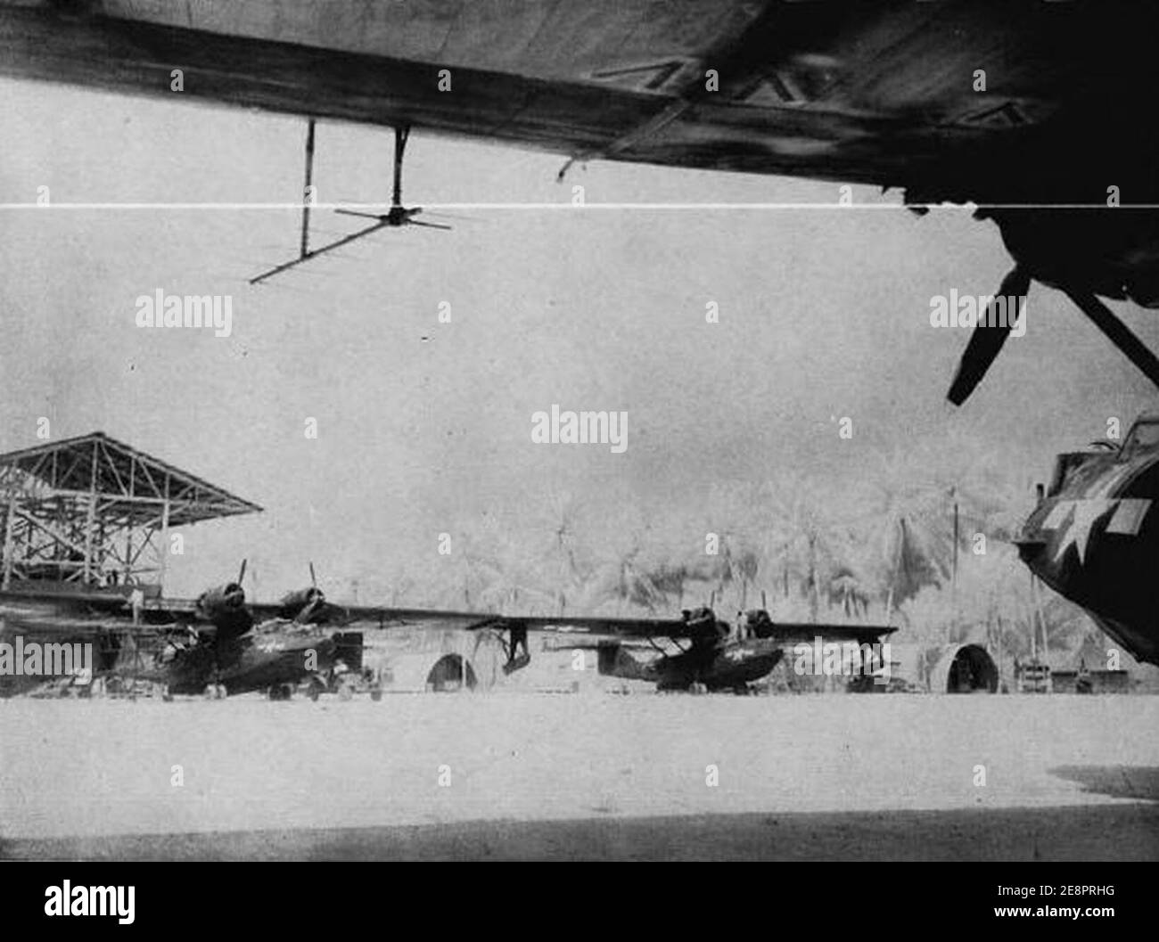 Mios Woendi PBY Black Cats Stock Photo - Alamy