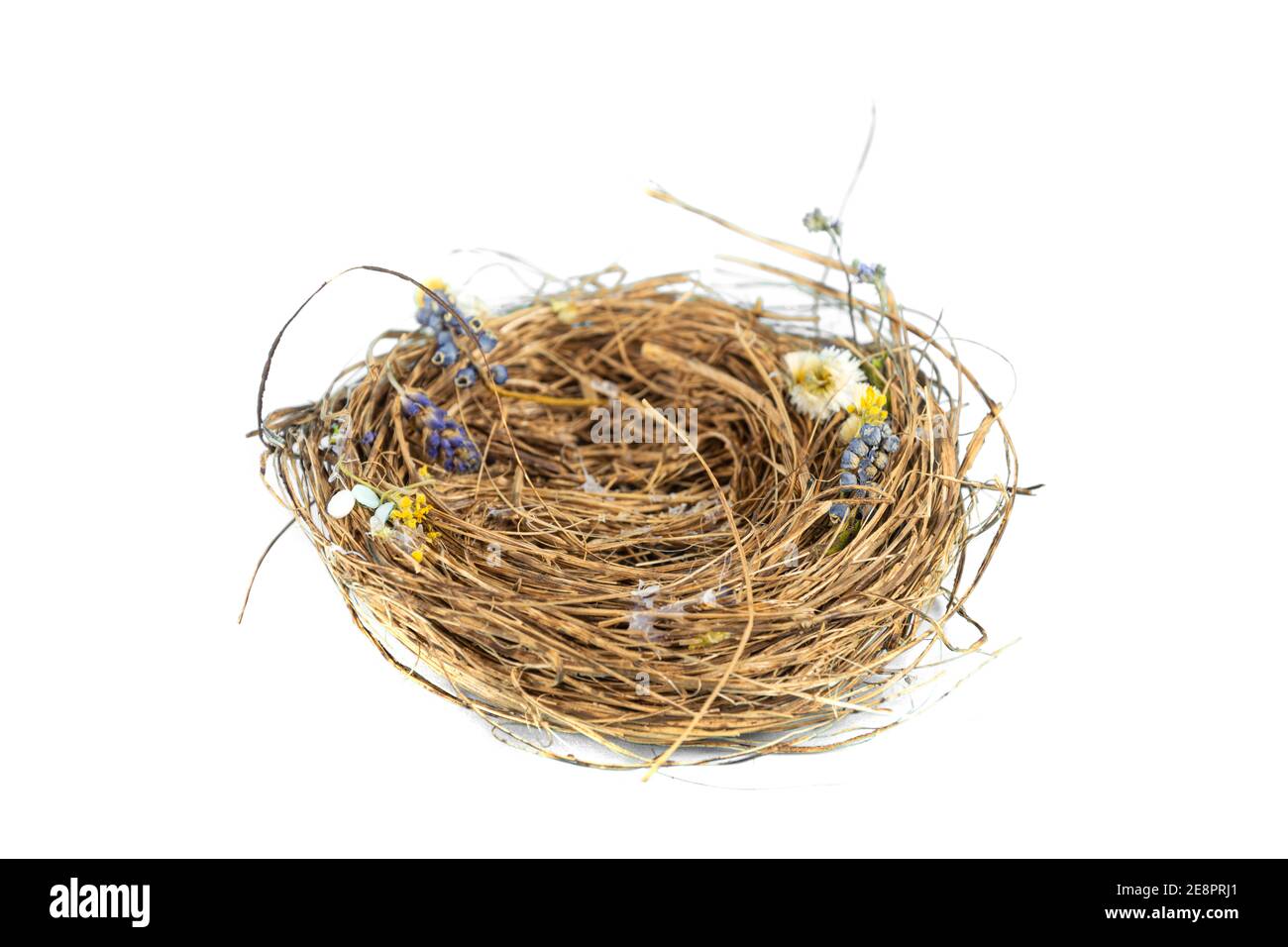 bird Nest on white background. Studio Photo Stock Photo - Alamy