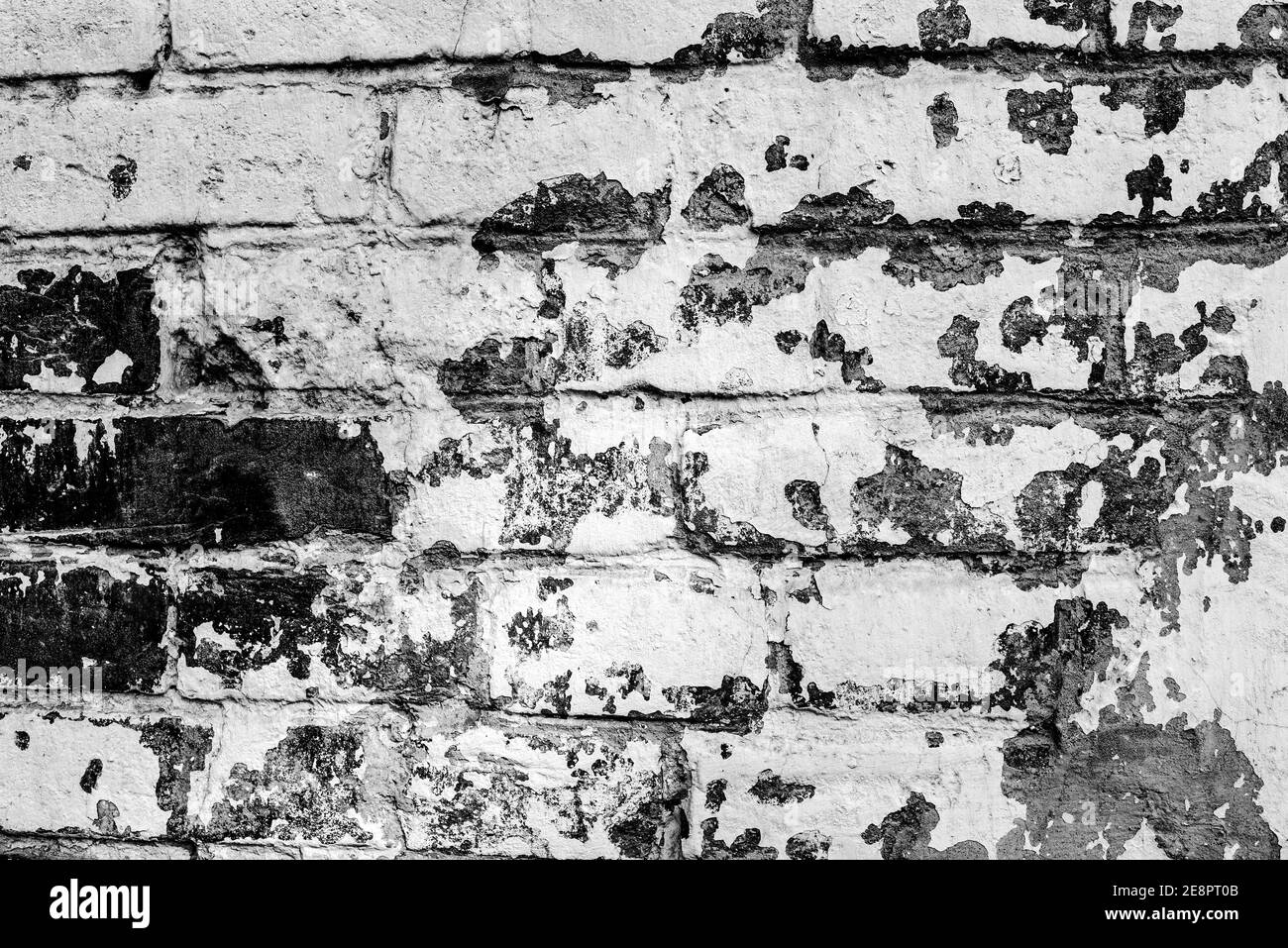 Texture, brick, wall, it can be used as a background. Brick texture ...