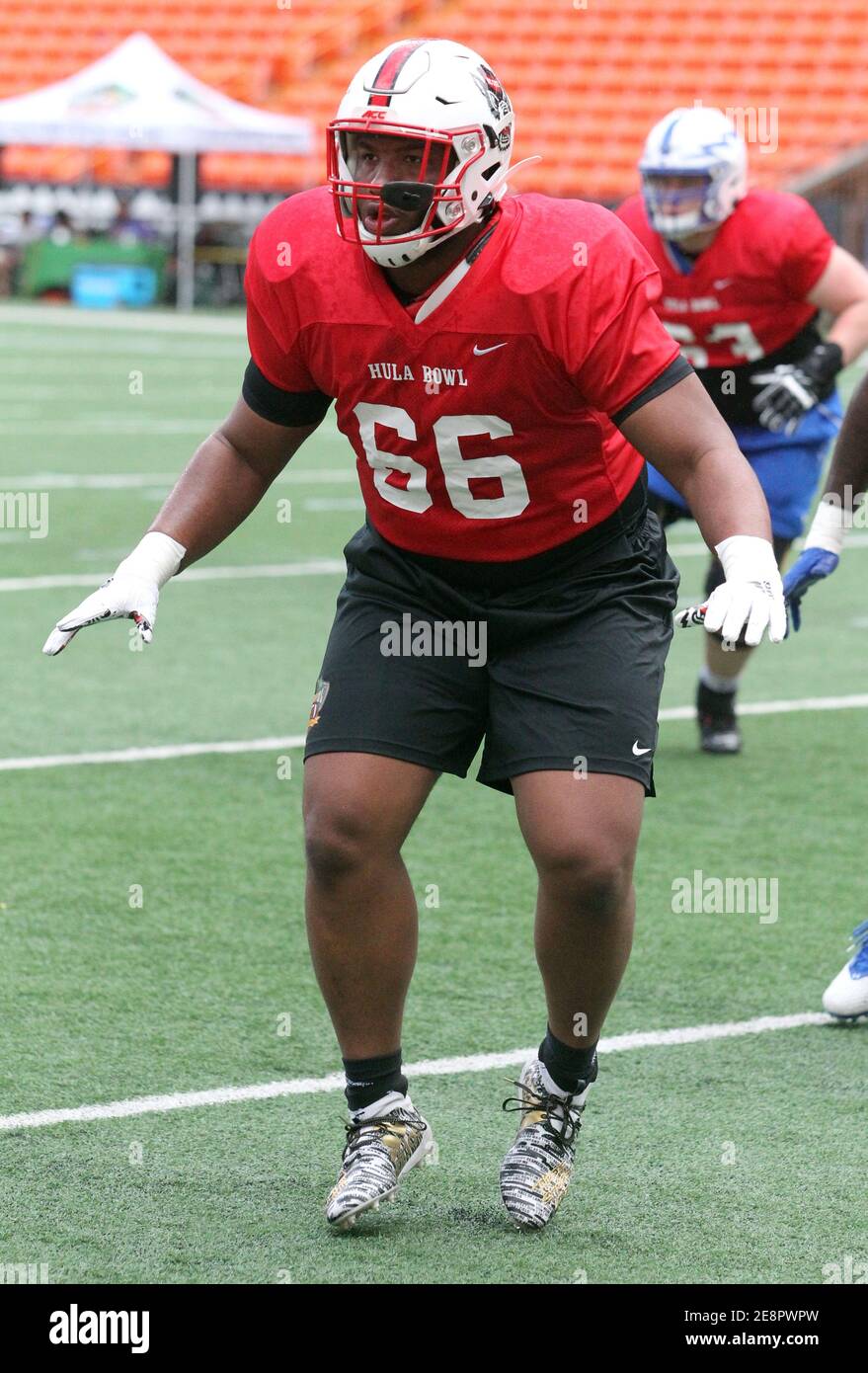 Fedd hi-res stock photography and images - Alamy