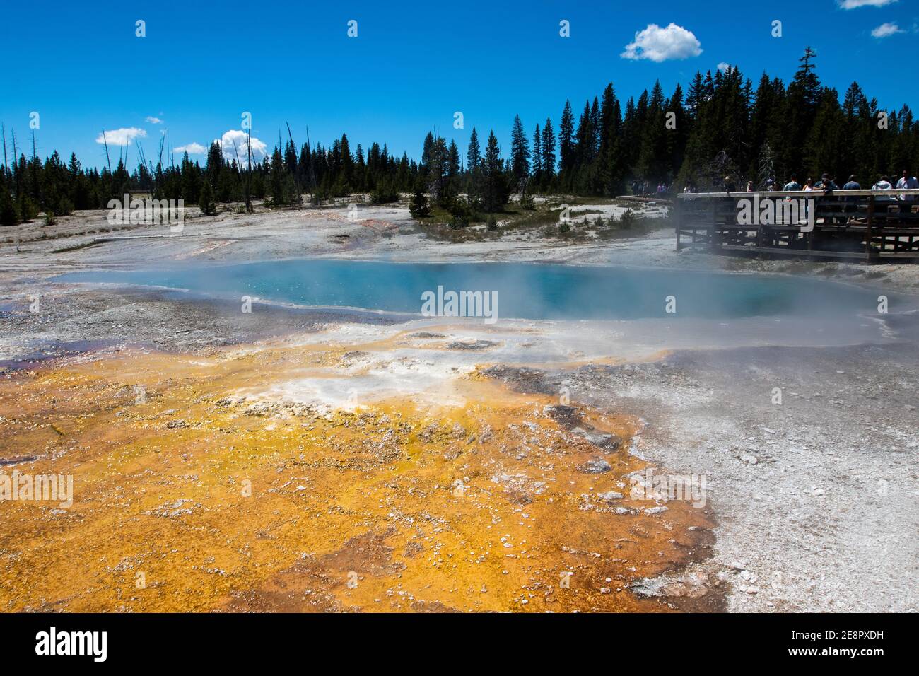 Yellowstone National Park Landscape Stock Photo - Alamy