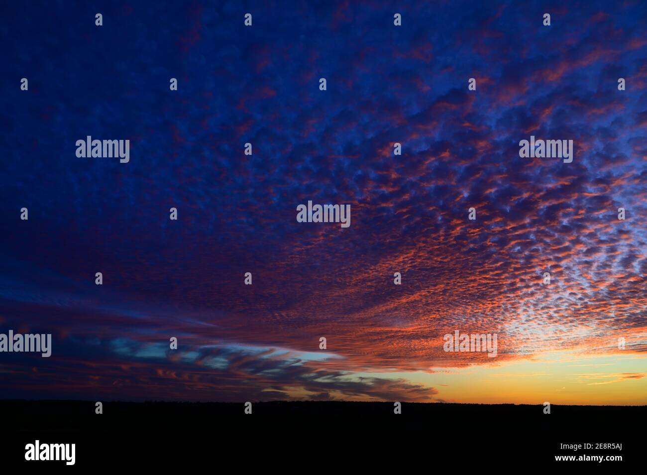 Under lit clouds revealing deep blue sky and fiery sunset Stock Photo ...