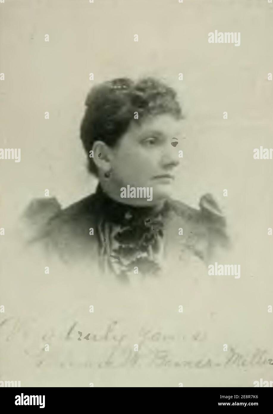 MINNIE WILLIS BAINES MILLER A woman of the century (page 517 crop Stock ...