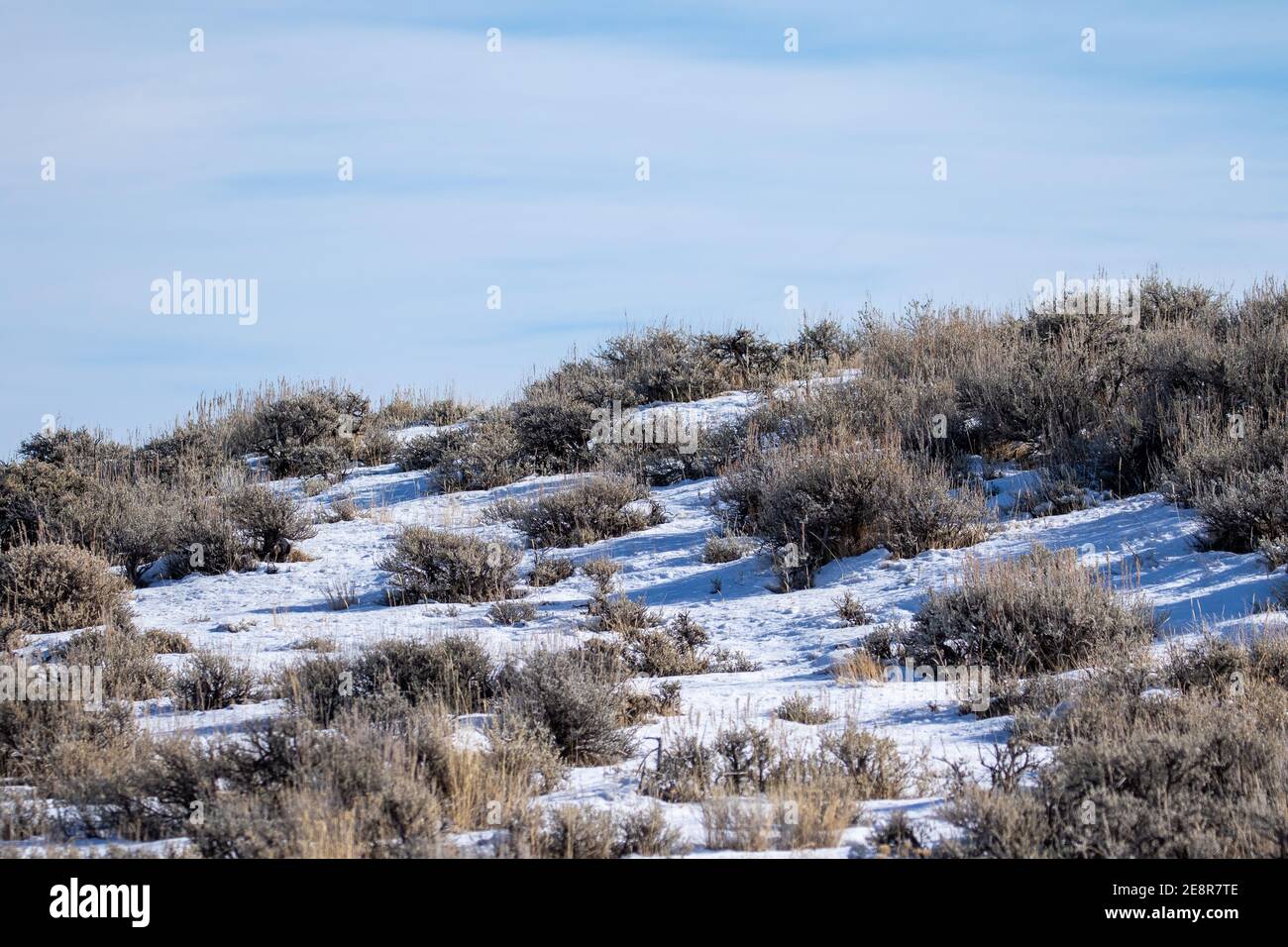 Bozeman Montana Mountain Range Stock Photo - Alamy