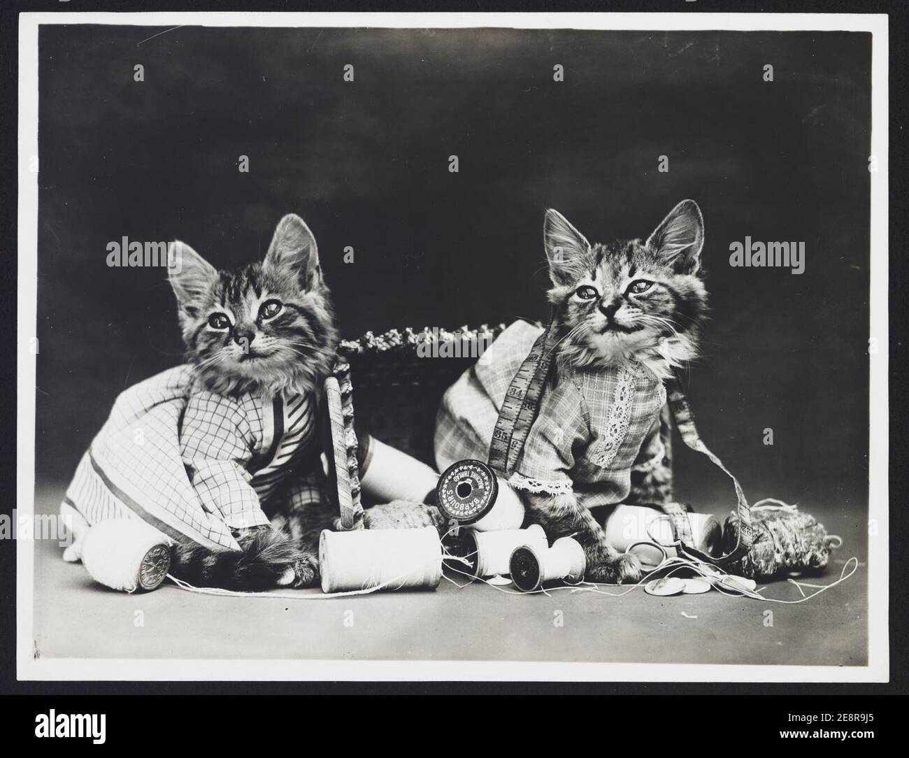 Mischief makers hi-res stock photography and images - Alamy