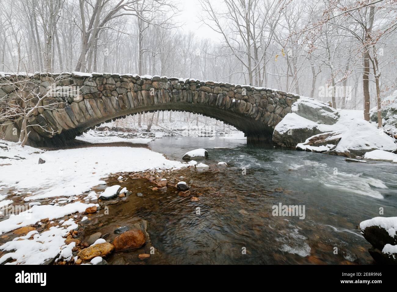 Wood bridge in washington park hi-res stock photography and images - Alamy