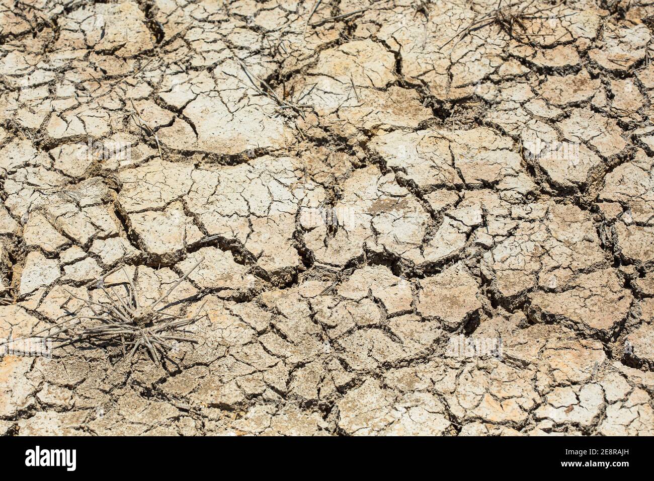 Cracked Soil In A Rice Field Stock Photo - Alamy
