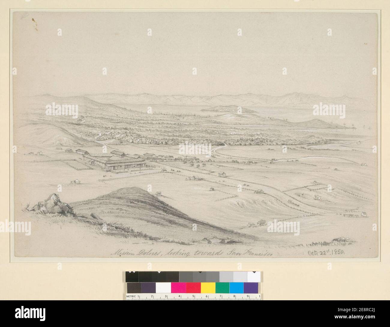 Dougal hi-res stock photography and images - Alamy