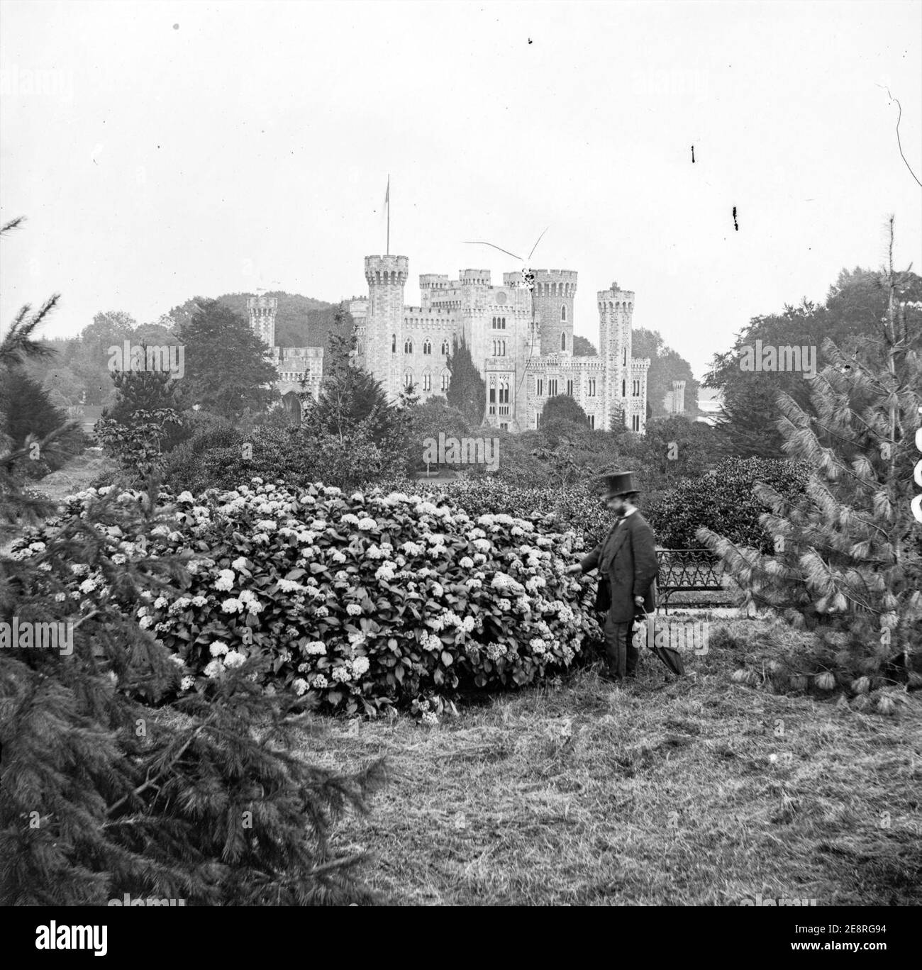 Mock Gothic Castle in parkland- Johnstown Castle, Wexford Stock Photo ...