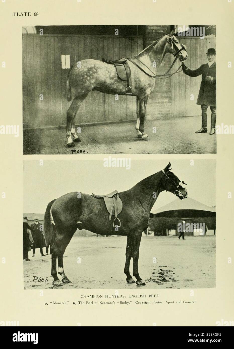 Modern horse management Stock Photo - Alamy