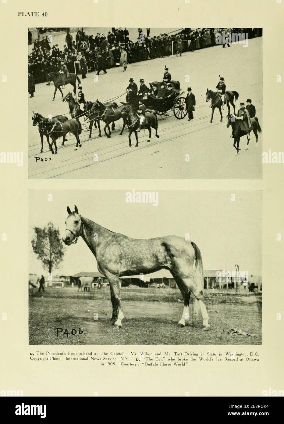 Modern horse management Stock Photo - Alamy