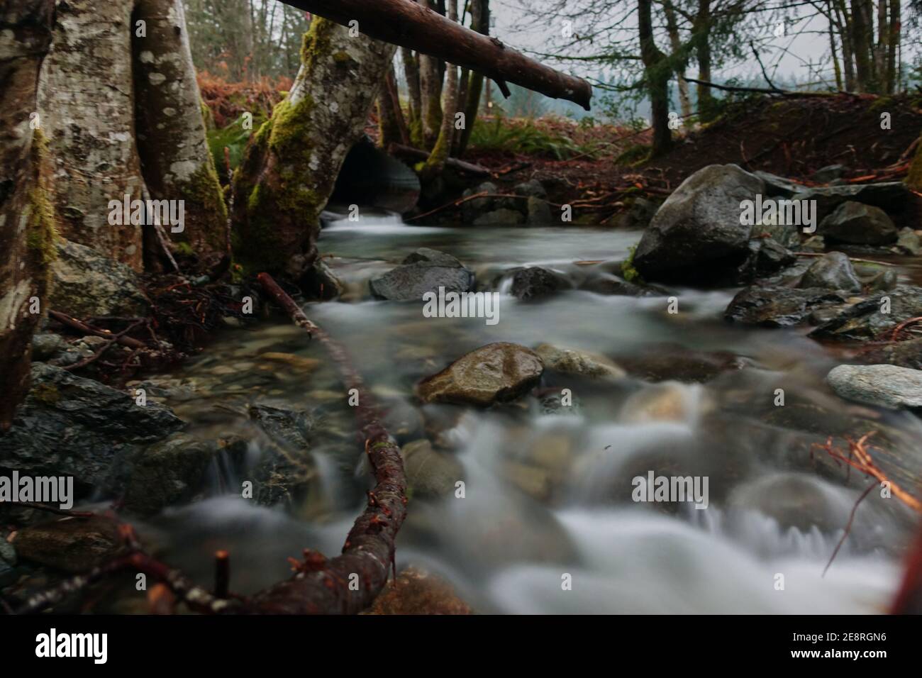 A rocky river in the forest Stock Photo - Alamy