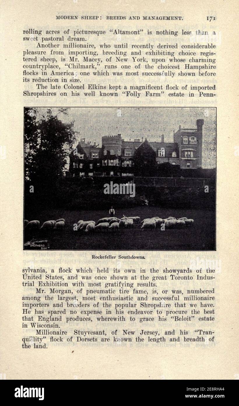 Modern sheep, breeds and management (Page 171 Stock Photo - Alamy