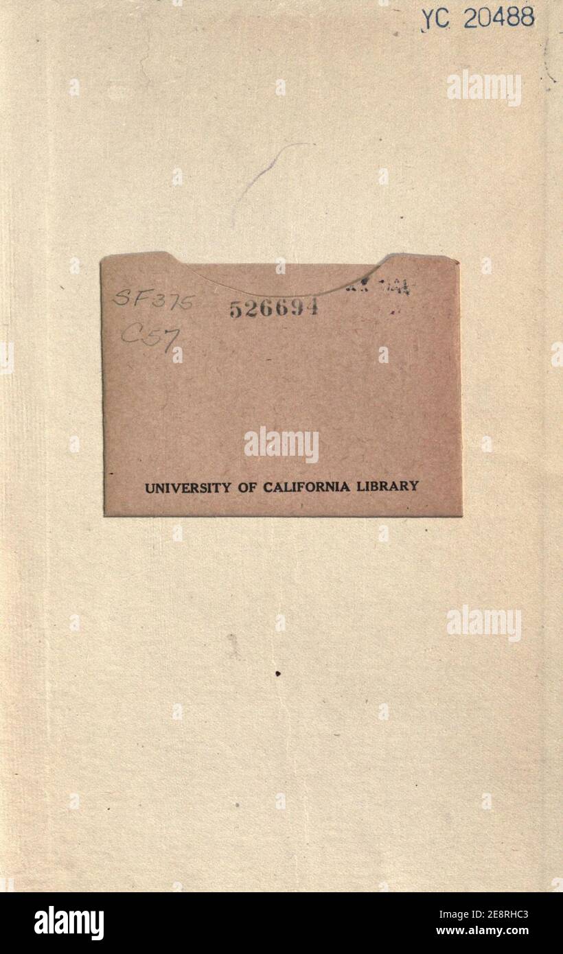 Modern sheep, breeds and management Stock Photo - Alamy