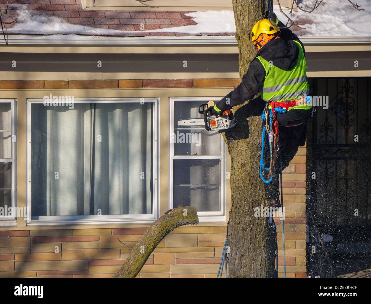 Tree trimmer hi-res stock photography and images - Alamy