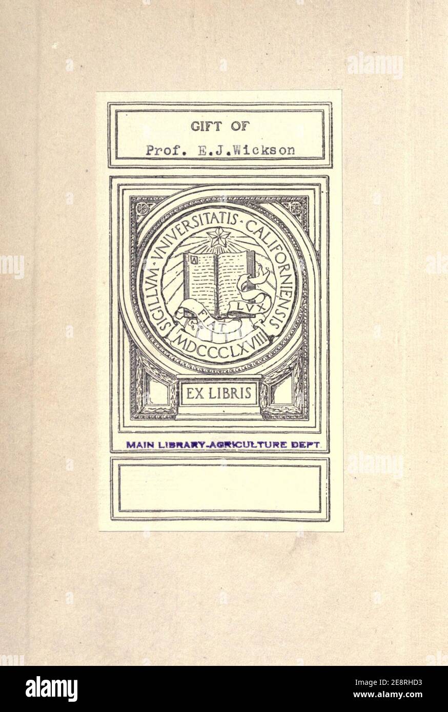 Modern sheep, breeds and management Stock Photo - Alamy