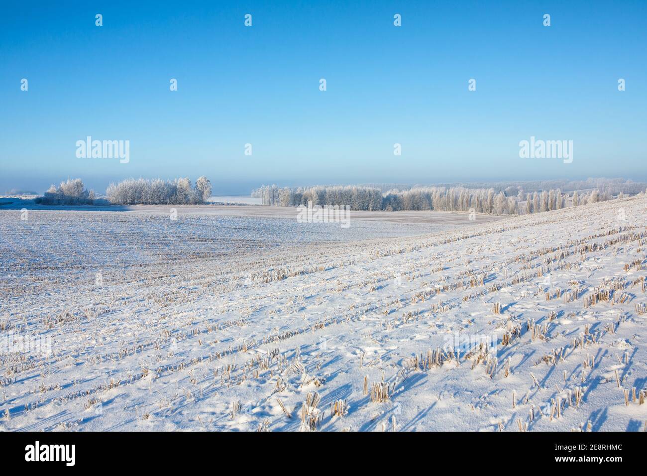 Snow field background hi-res stock photography and images - Alamy