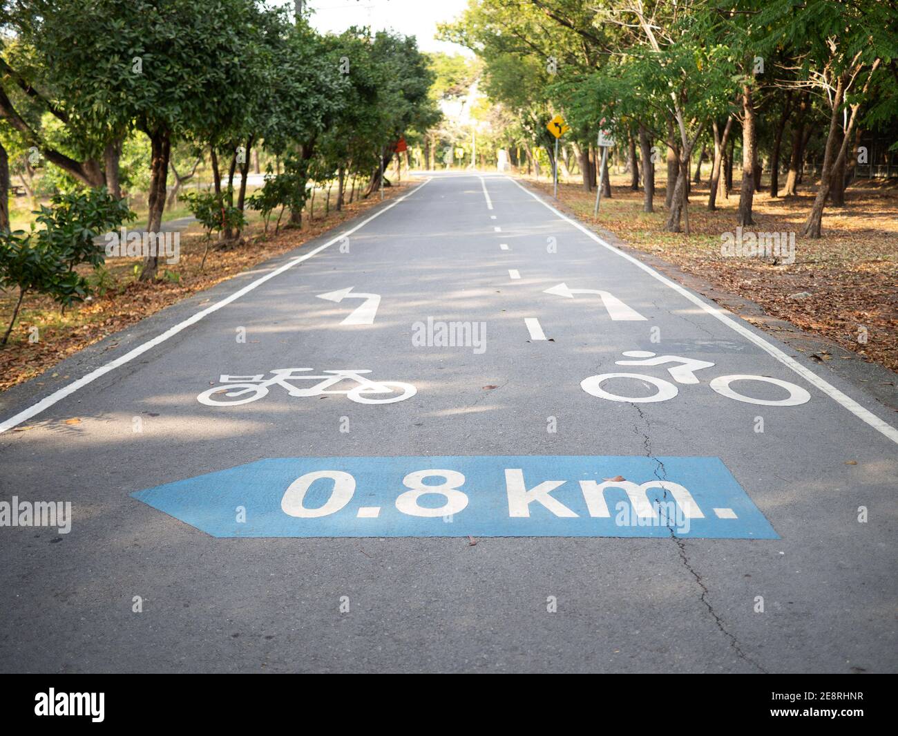 cycling path in the park. bicycle traffic sign painted on the floor ...