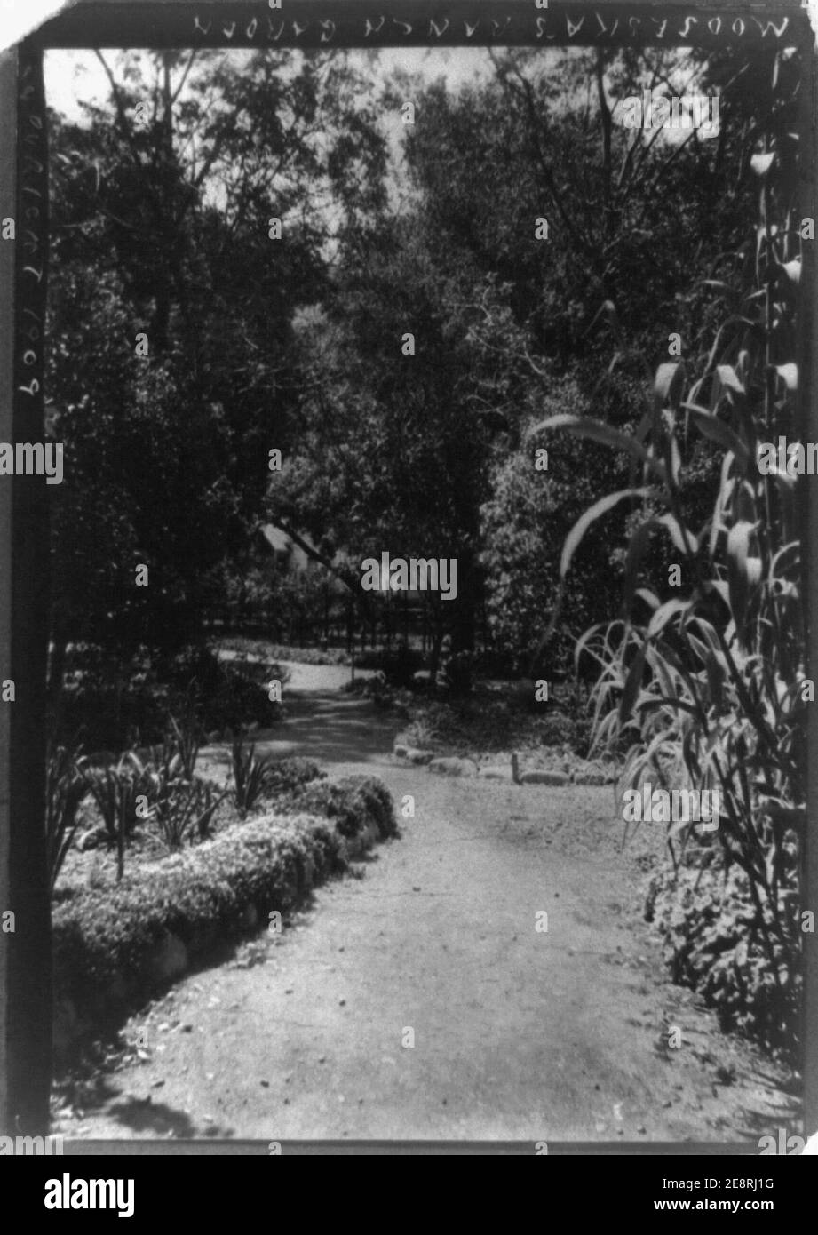 Modjeska's ranch garden Stock Photo - Alamy