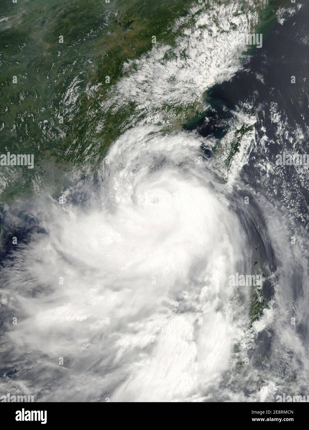 Molave hi-res stock photography and images - Alamy