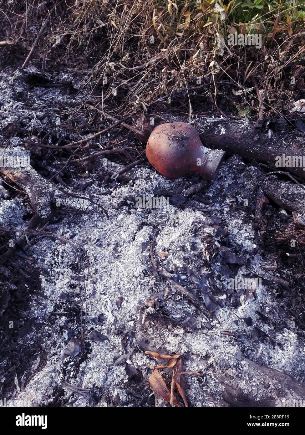 Story book covers hi-res stock photography and images - Alamy