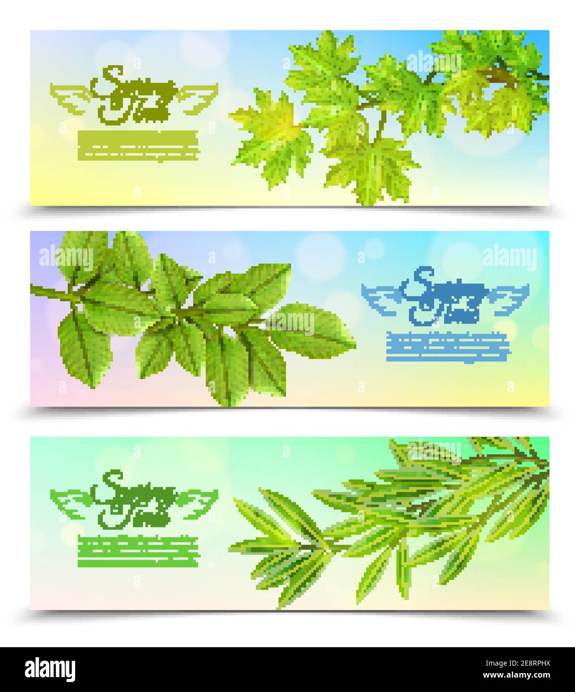 Three horizontal banners with green branches of deciduous trees in sun ...