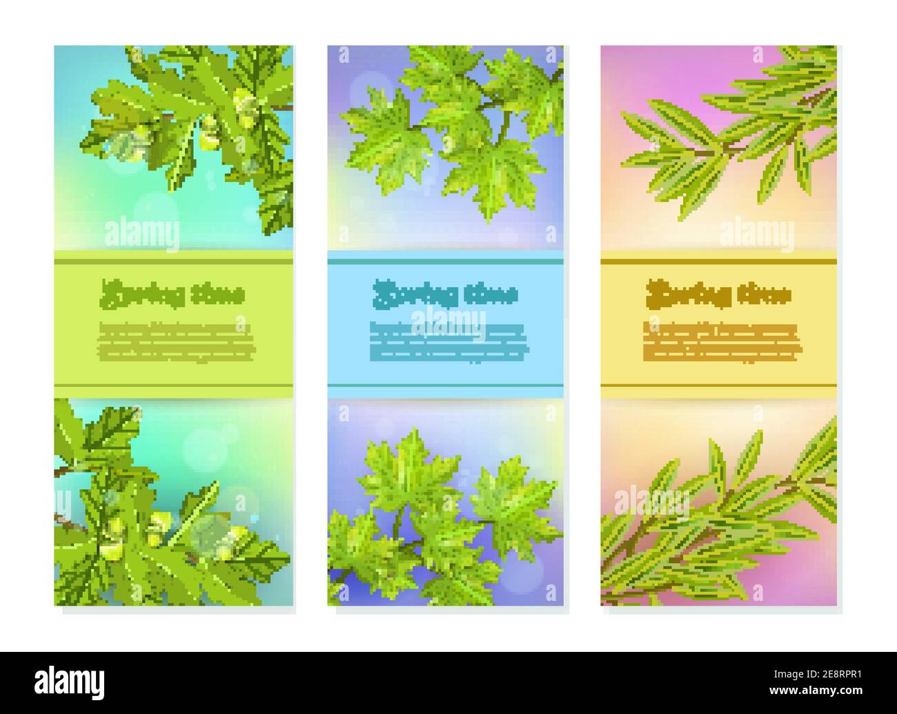 Bright colorful spring collection of vertical banners with olive oak ...