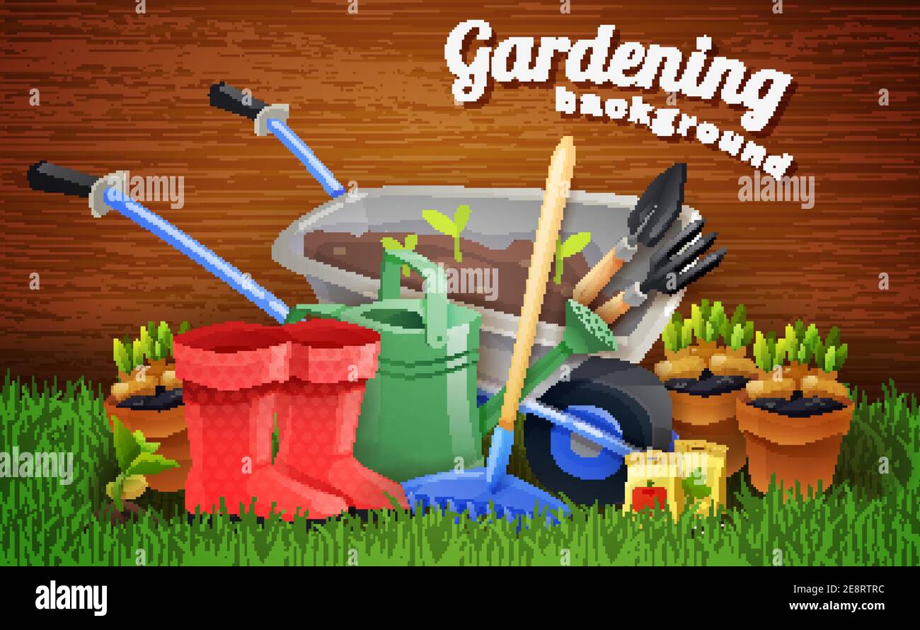 Young grass on soil Stock Vector Images - Alamy