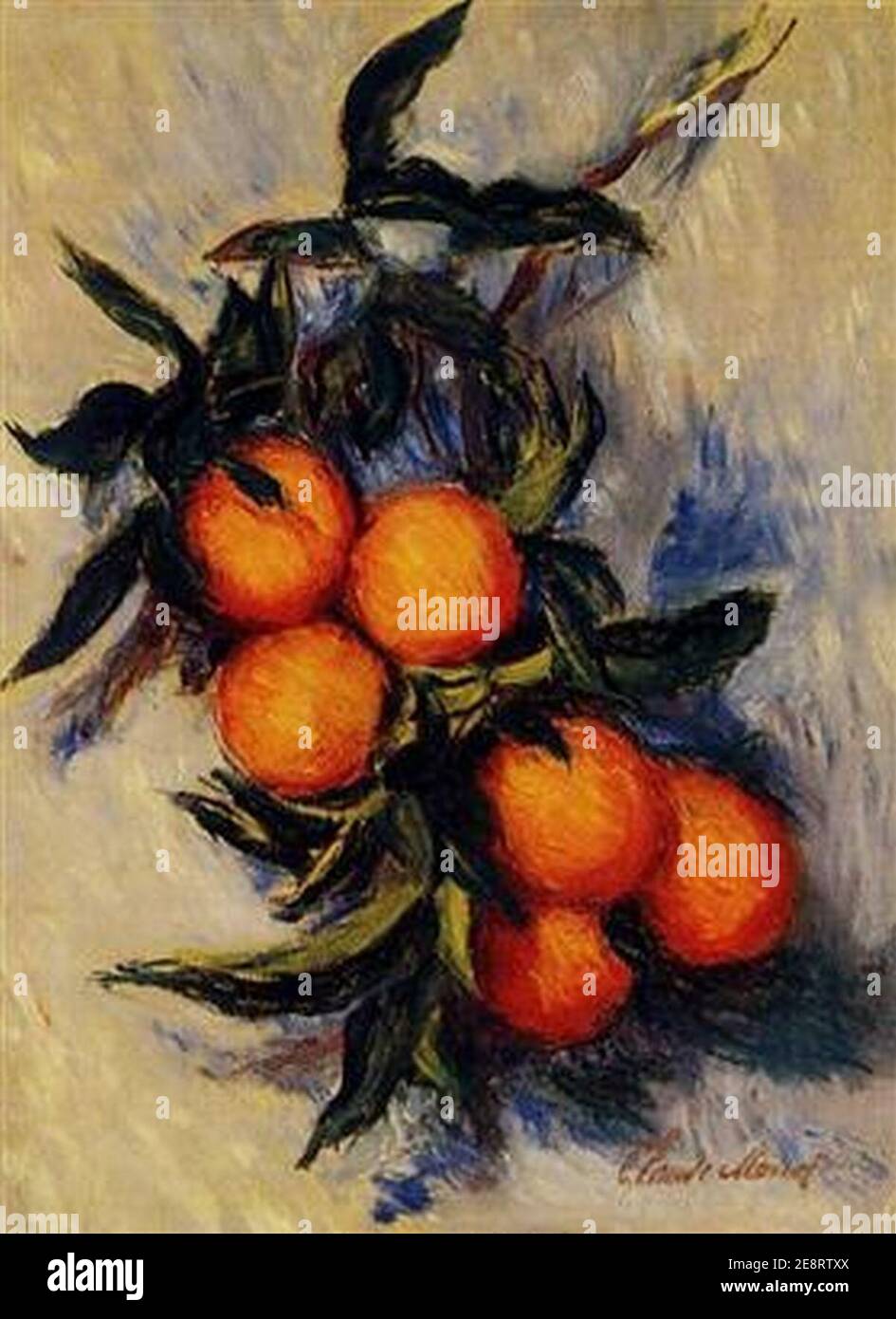 Monet - branch-of-orange-bearing-fruit Stock Photo - Alamy