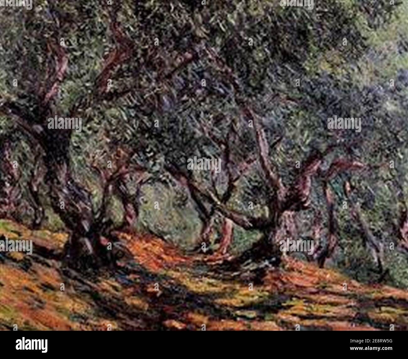 Monet - olive-trees-in-bordigher Stock Photo - Alamy